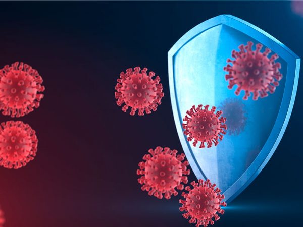 Coenzyme Q10 and energy for the immune system